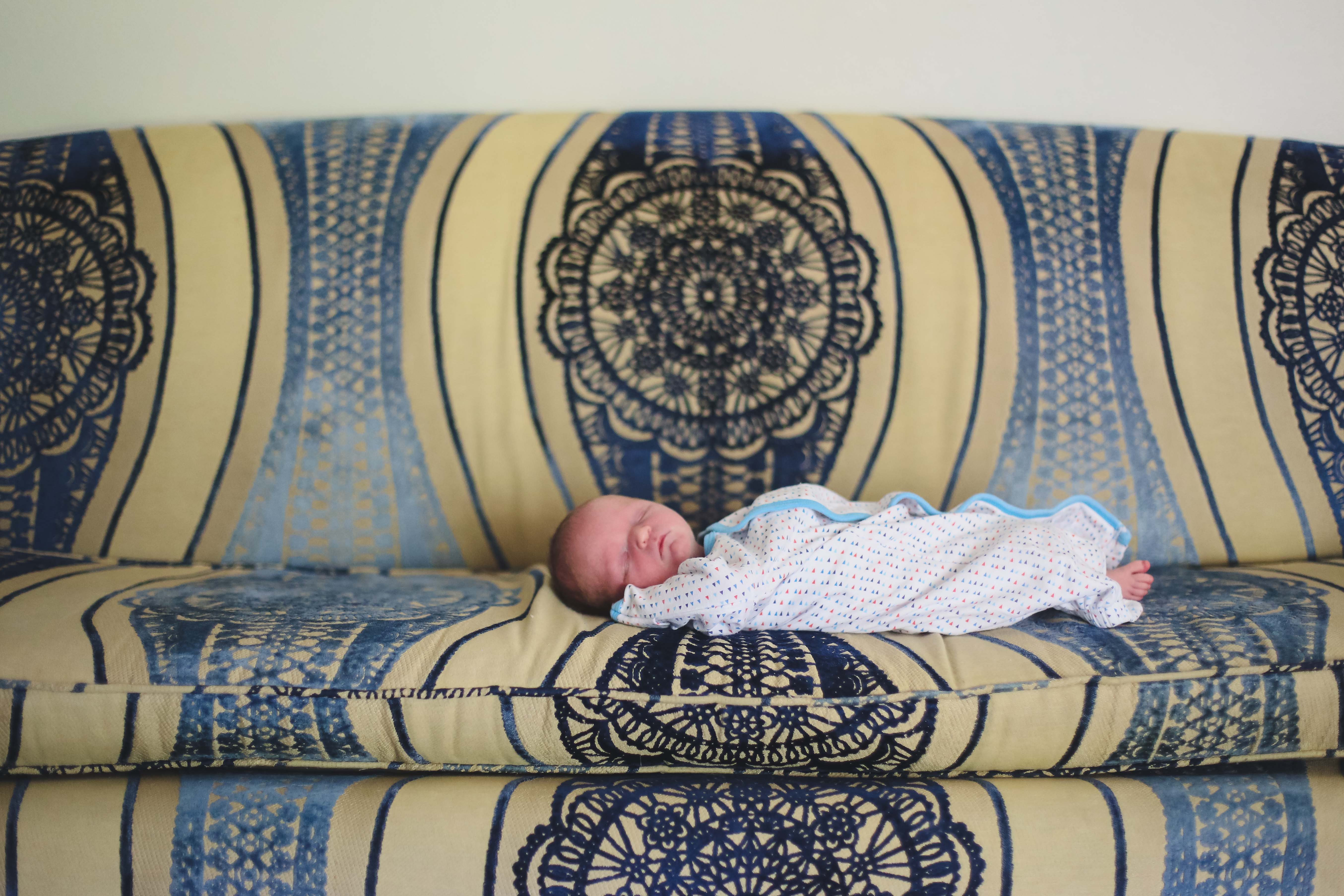 Milo – rachel baughman photo