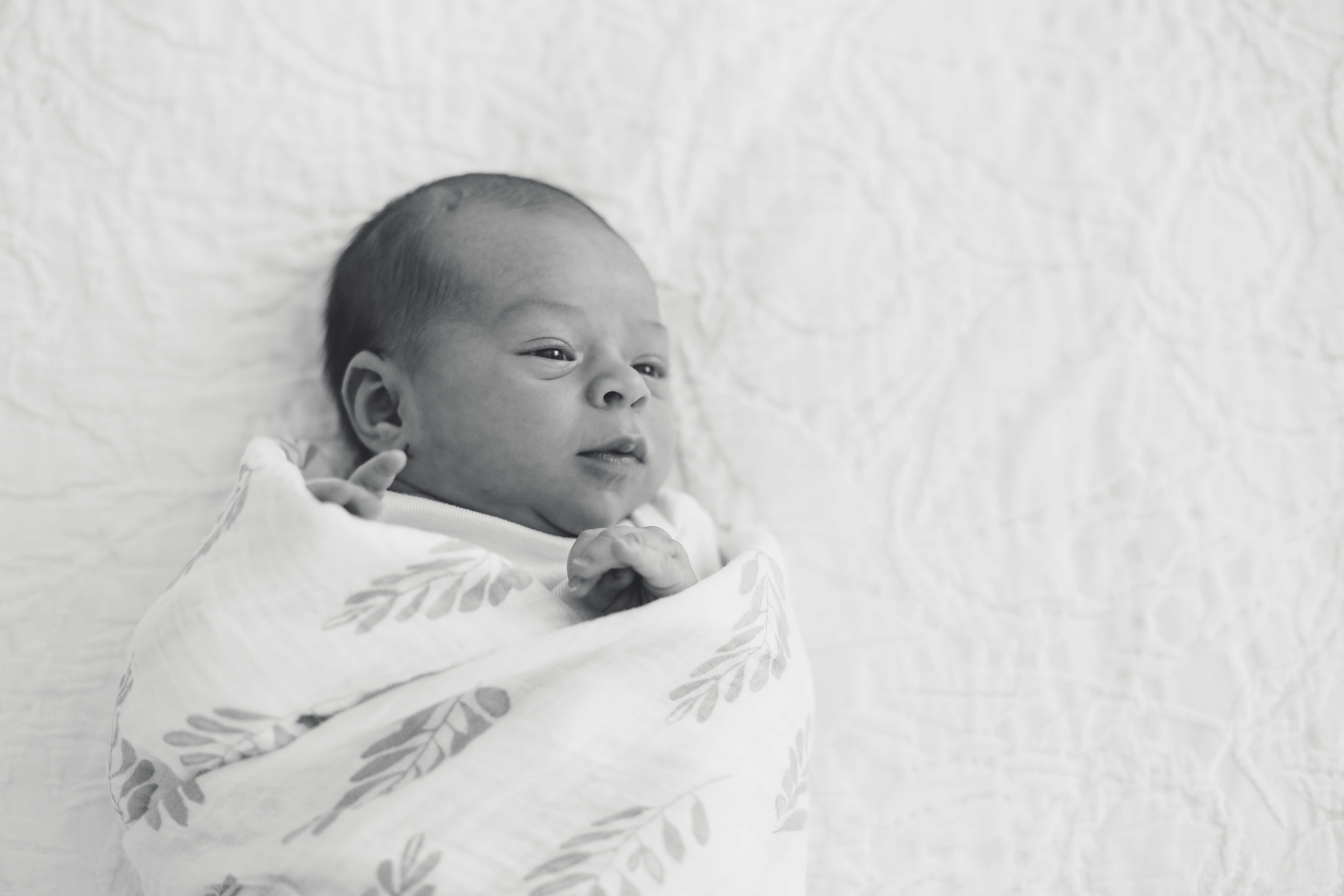 May – rachel baughman photo